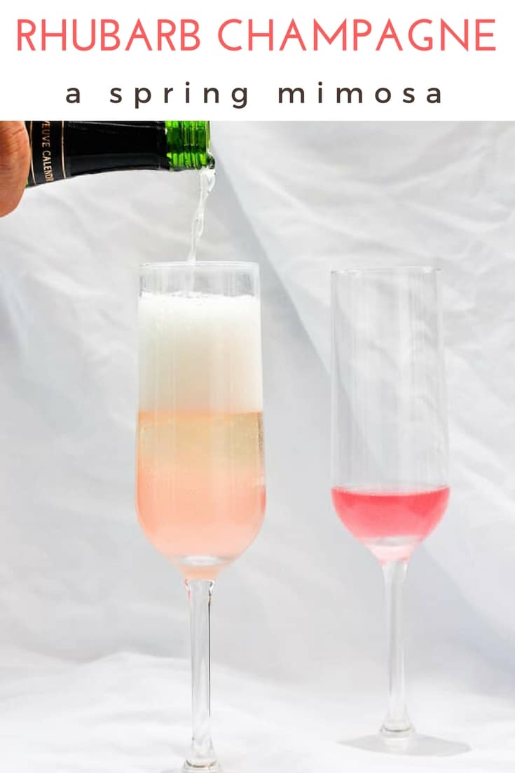 Rhubarb Champagne: A Sparkly Spring Mimosa Inspired Cocktail