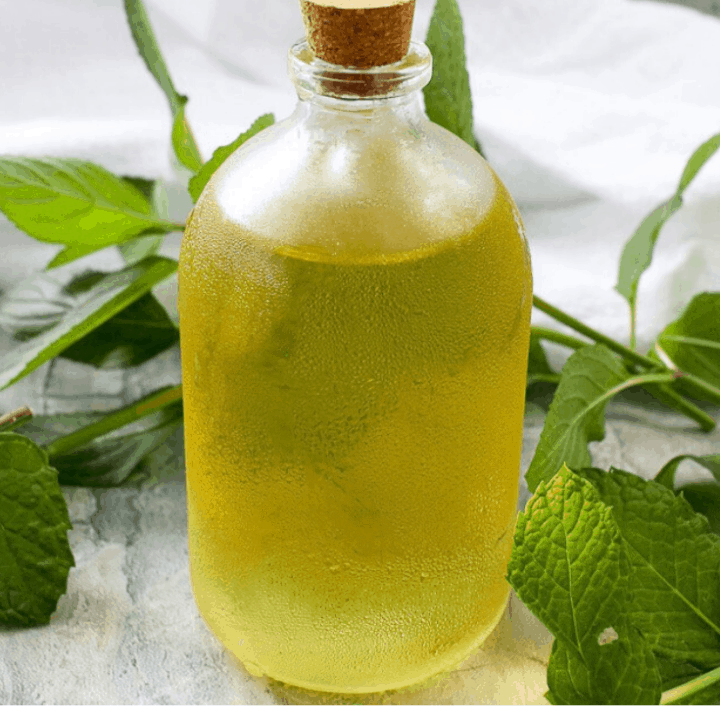 Mint Simple Syrup - An Easy Way to Use Fresh Garden Mint