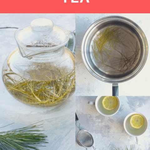 Pine Needle Tea - Champagne Tastes®