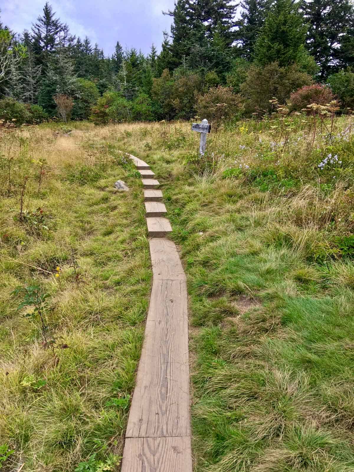 Andrews Bald - Great Smoky Mountains - Champagne Tastes®
