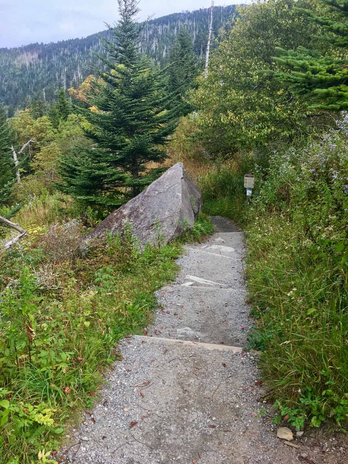 Andrews Bald - Great Smoky Mountains - Champagne Tastes®