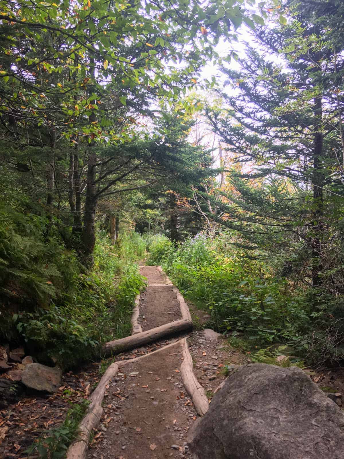 Andrews Bald - Great Smoky Mountains - Champagne Tastes®