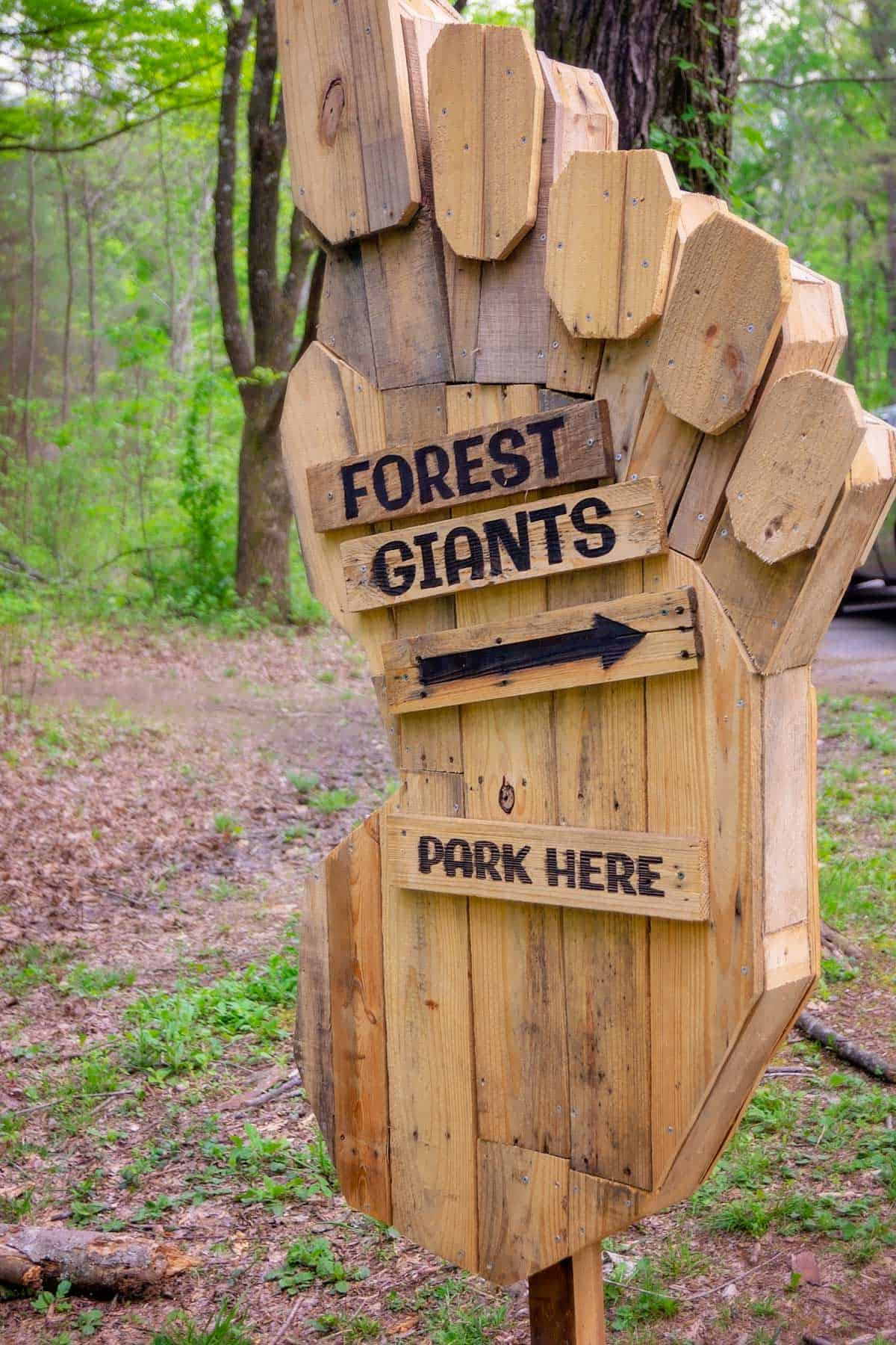 Bernheim Forest: Giants in Kentucky - Champagne Tastes®