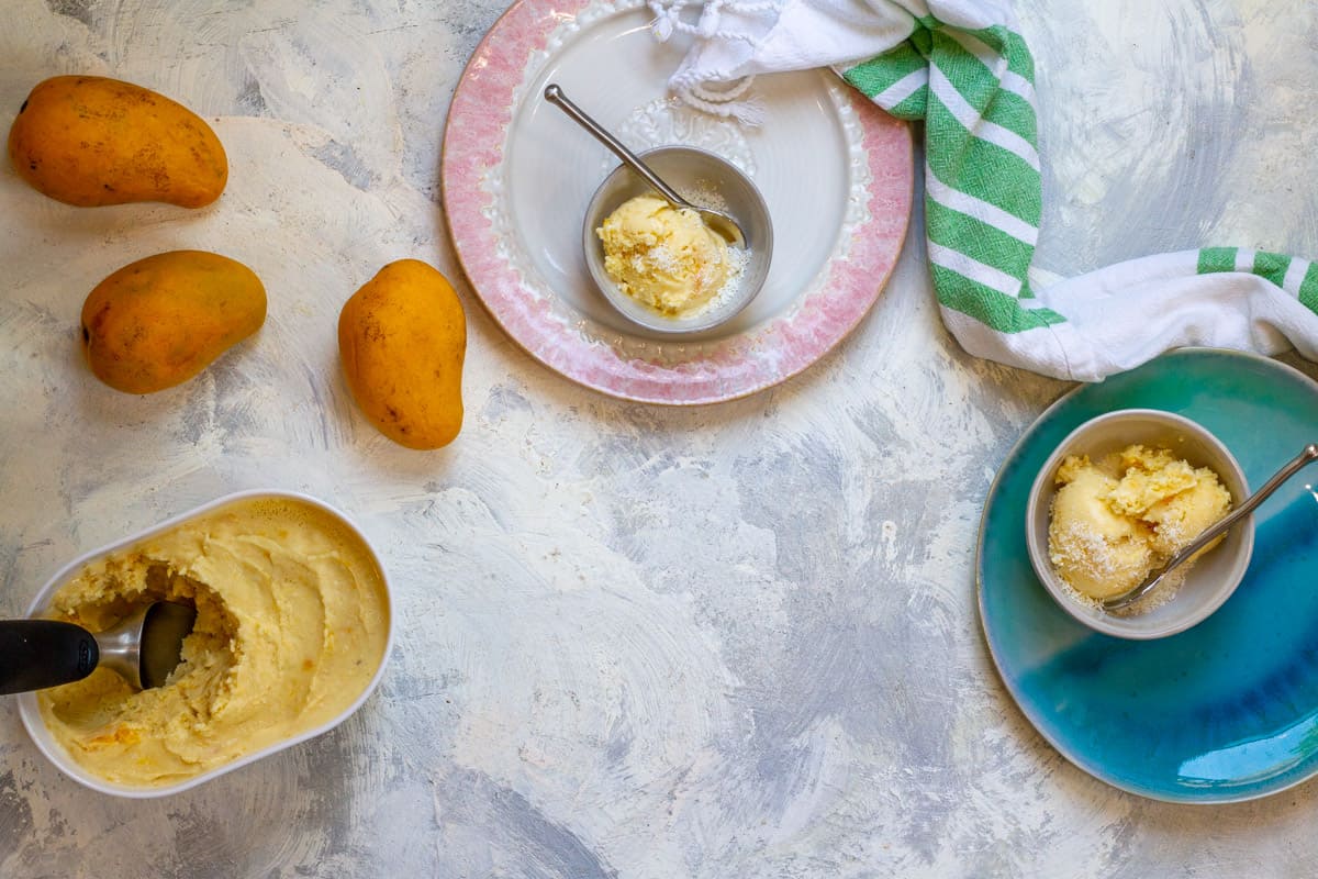 Mango Frozen Yogurt with Coconut Milk - Champagne Tastes®