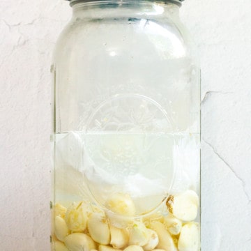 Fermented Garlic (Easy Lacto Fermentation) - Champagne Tastes®
