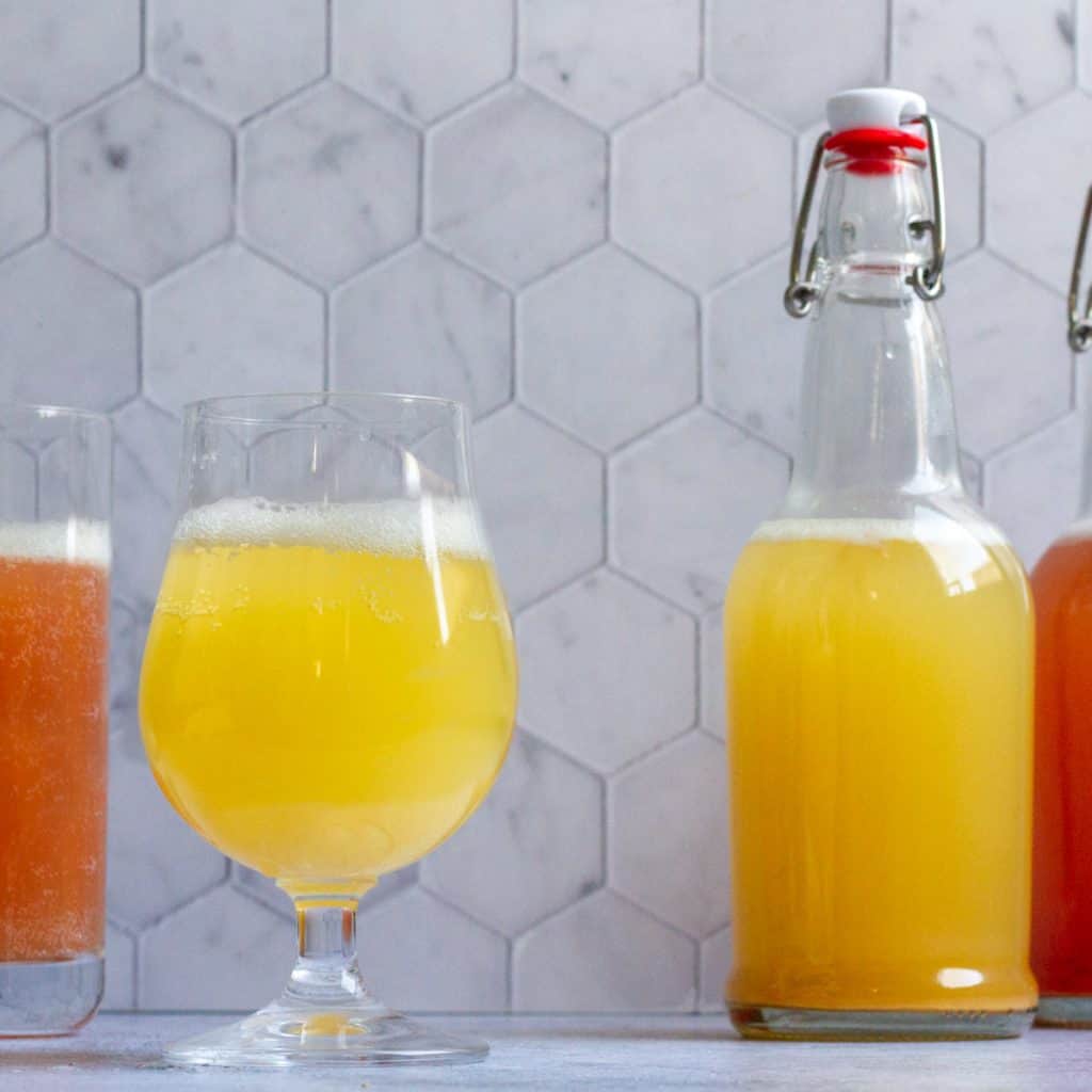 Hard Kombucha (High-Alcohol Kombucha) - Champagne Tastes®