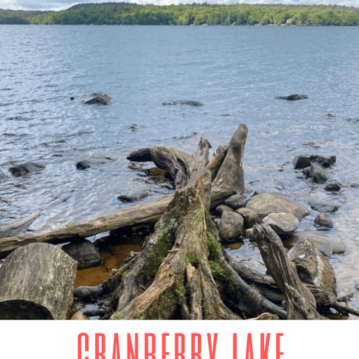 Cranberry Lake (Adirondack Mountains, NY) - Champagne Tastes®