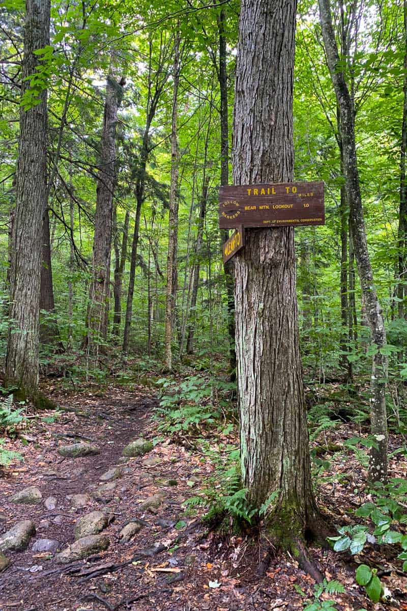 Cranberry Lake (Adirondack Mountains, NY) - Champagne Tastes®