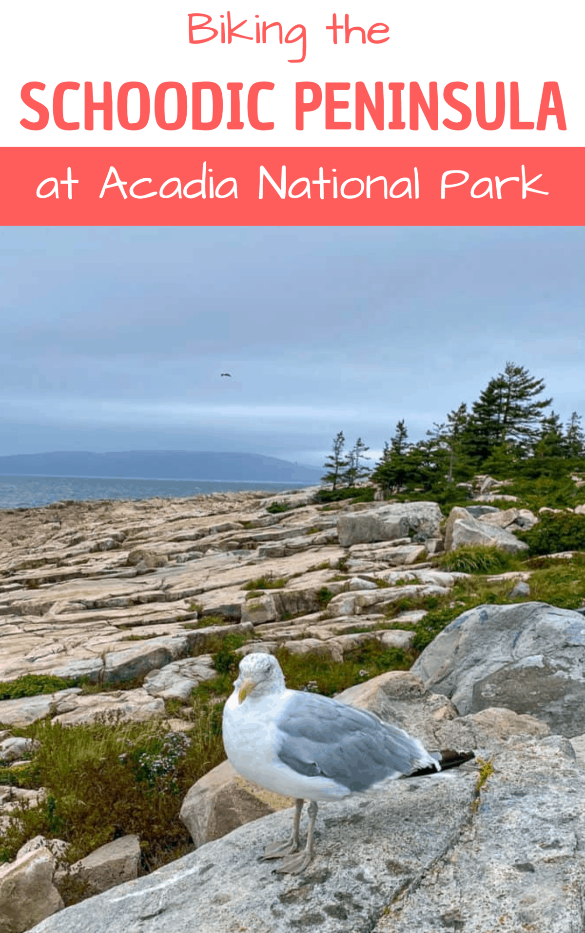 Biking the Schoodic Peninsula (Acadia National Park)