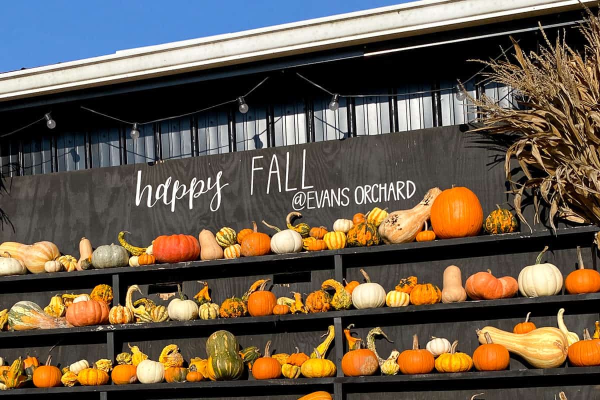 Evans Orchard + Cider Mill (Georgetown, KY) - Champagne Tastes®