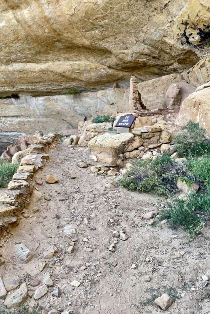 Step House Trail (Mesa Verde, CO) - Champagne Tastes®
