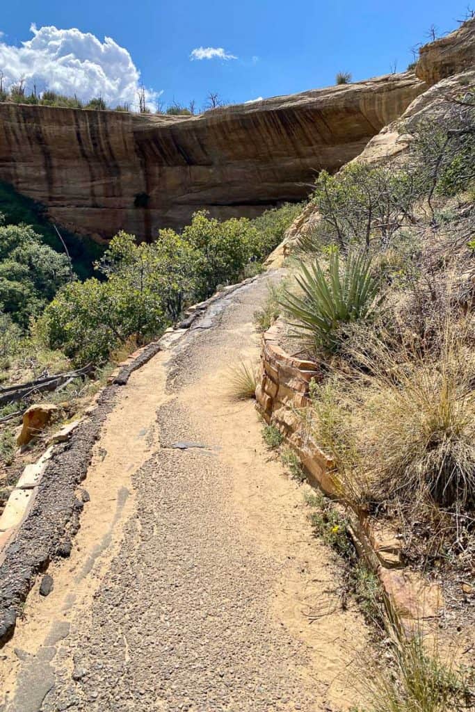 Step House Trail (Mesa Verde, CO) - Champagne Tastes®
