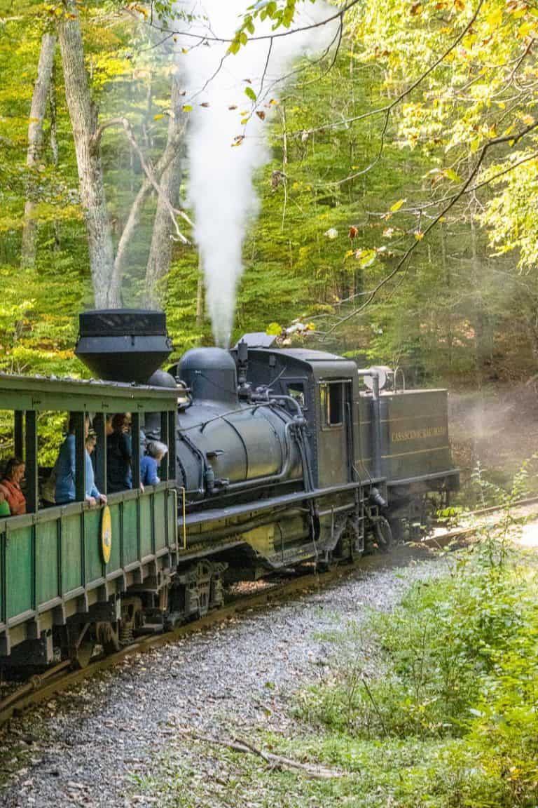 Cass Scenic Railroad State Park (Cass, WV) - Champagne Tastes®