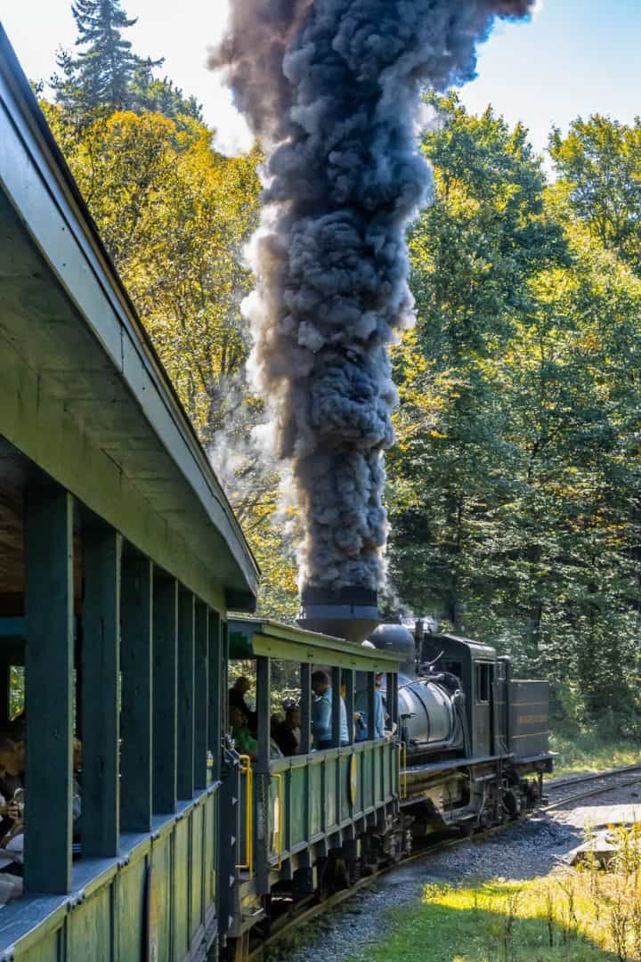 Cass Scenic Railroad State Park (Cass, WV) - Champagne Tastes®