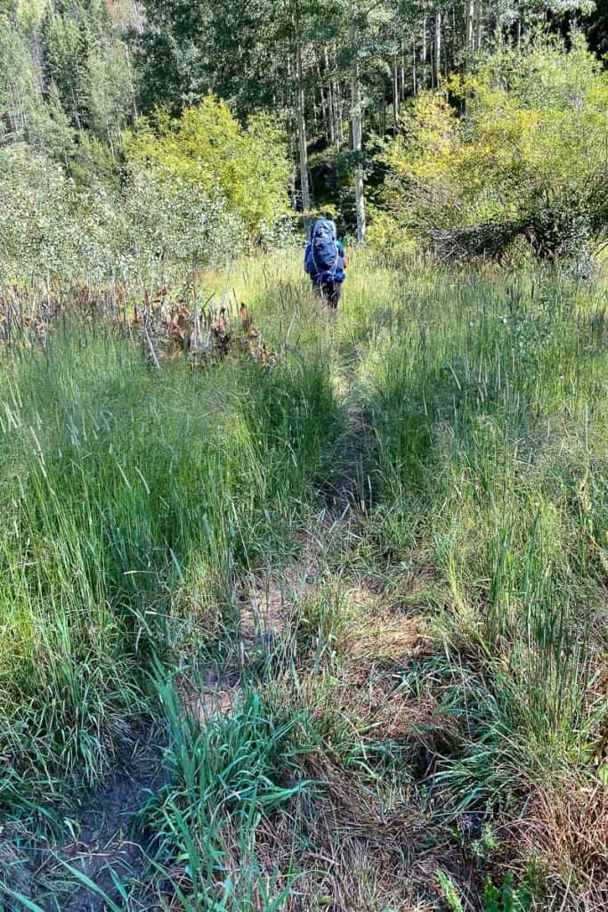 Elk Park to Needleton Backpacking Loop - Champagne Tastes®