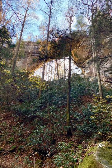 Gray's Arch (Red River Gorge, KY) - Champagne Tastes®
