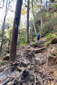 Gray's Arch (Red River Gorge, KY) - Champagne Tastes®