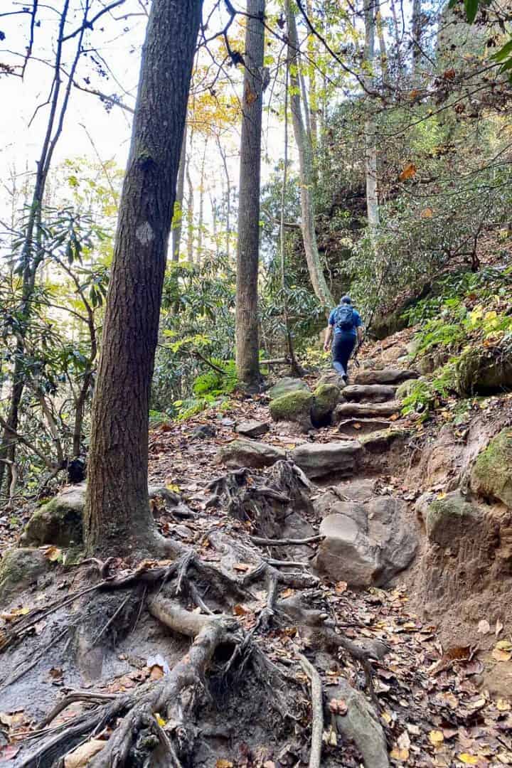 Gray's Arch (Red River Gorge, KY) - Champagne Tastes®