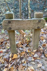 Gray's Arch (Red River Gorge, KY) - Champagne Tastes®