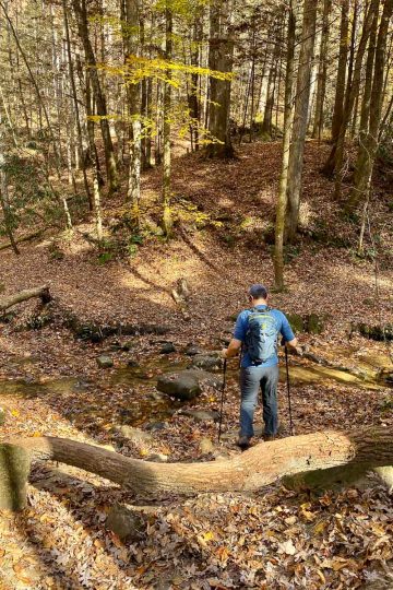 Gray's Arch (Red River Gorge, KY) - Champagne Tastes®