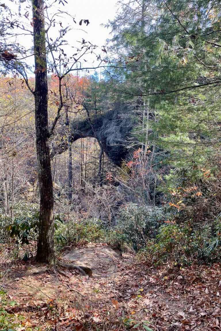 Gray's Arch (Red River Gorge, KY) - Champagne Tastes®
