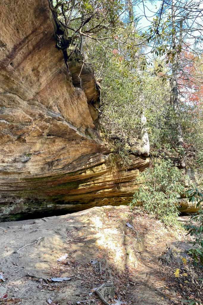 Gray's Arch (Red River Gorge, KY) - Champagne Tastes®