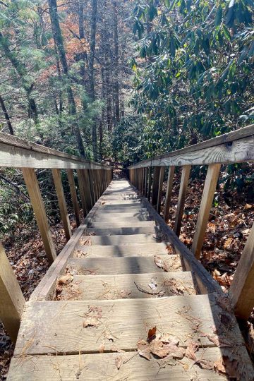 Gray's Arch (Red River Gorge, KY) - Champagne Tastes®