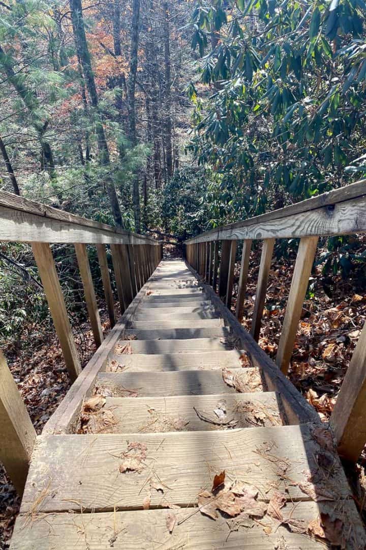 Gray's Arch (Red River Gorge, KY) - Champagne Tastes®