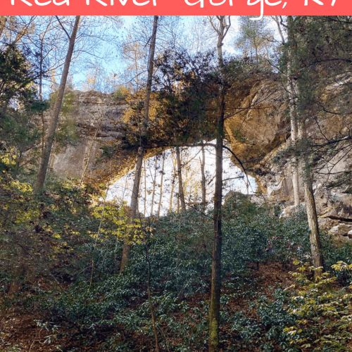 Gray's Arch (Red River Gorge, KY) - Champagne Tastes®