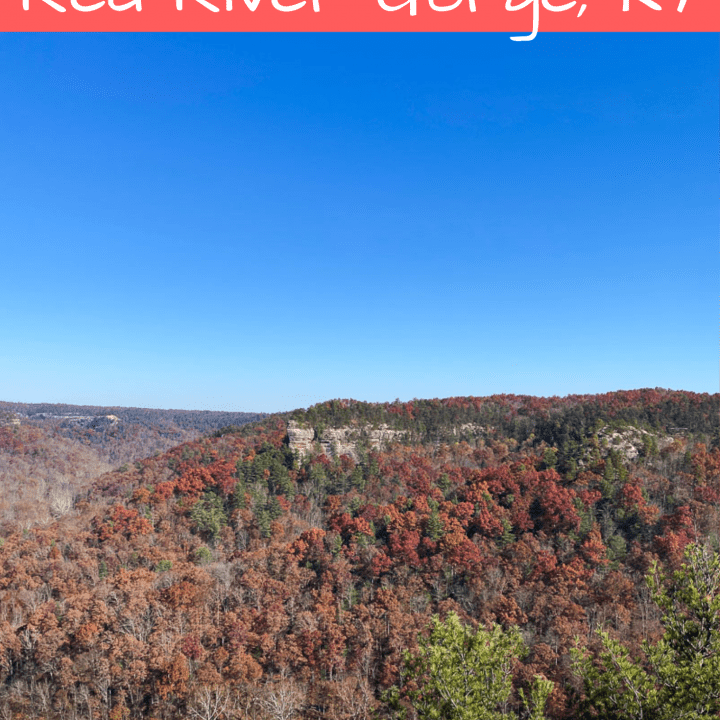 Hanson's Point (Red River Gorge, KY) - Champagne Tastes®
