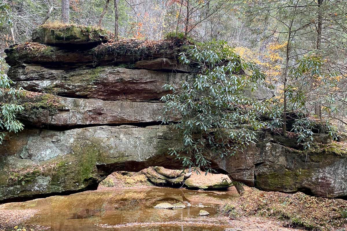 Rock Bridge Trail (Red River Gorge, KY) - Champagne Tastes®