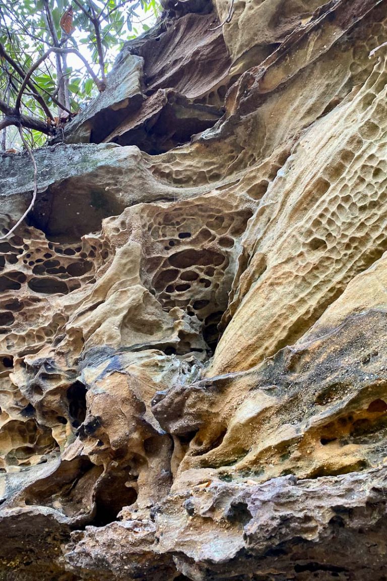 Silvermine Arch Trail (Red River Gorge, KY) - Champagne Tastes®