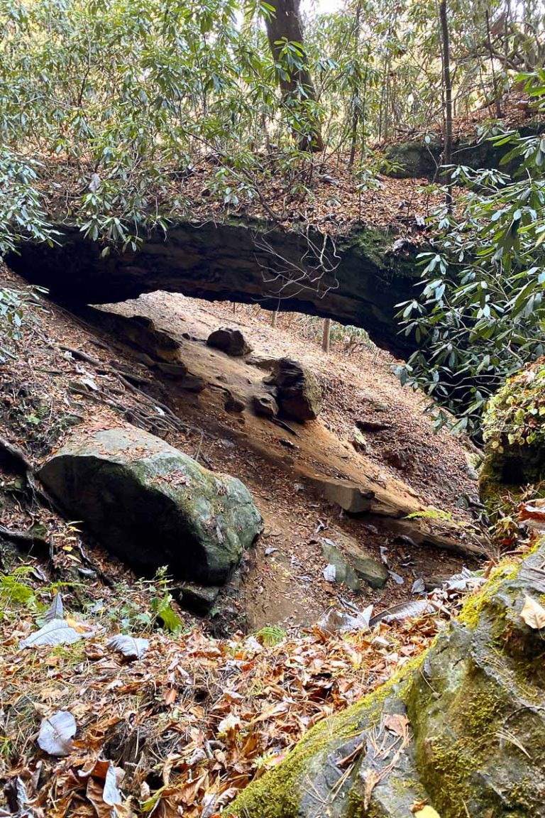 Silvermine Arch Trail (Red River Gorge, KY) - Champagne Tastes®