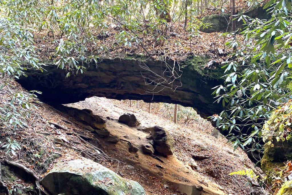 Silvermine Arch Trail (Red River Gorge, KY) - Champagne Tastes®