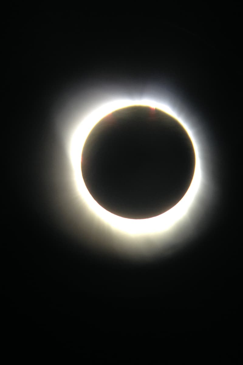 Path of Totality: Tips for Solar Eclipse Viewing - Champagne Tastes®