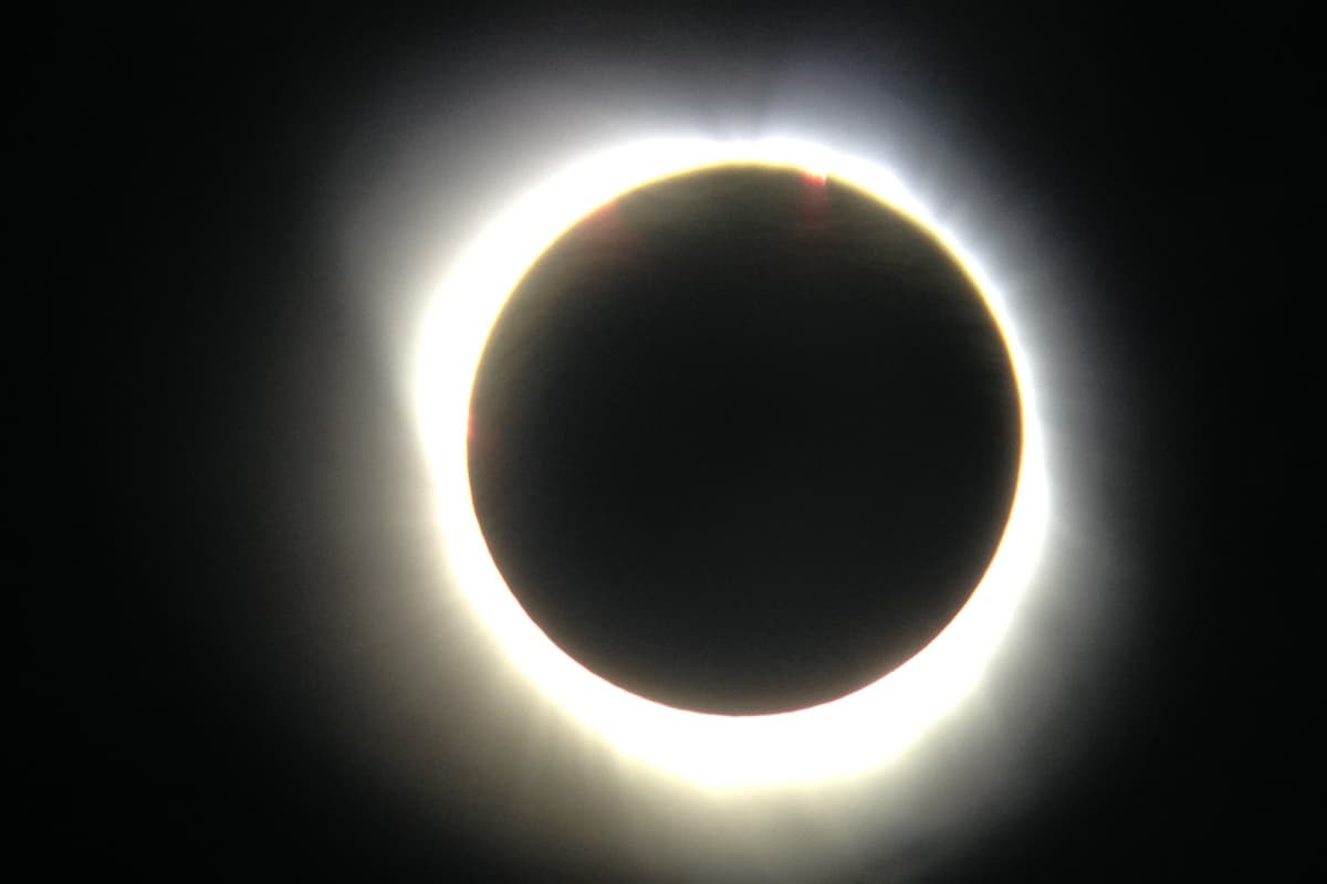 Path of Totality: Tips for Solar Eclipse Viewing - Champagne Tastes®