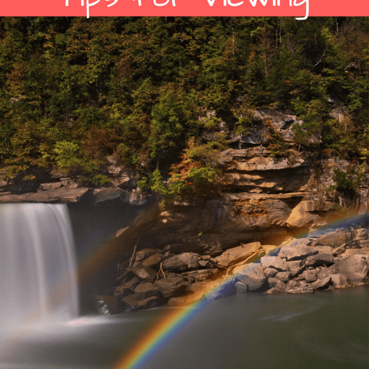 Cumberland Falls Moonbow (Corbin, KY) - Champagne Tastes®