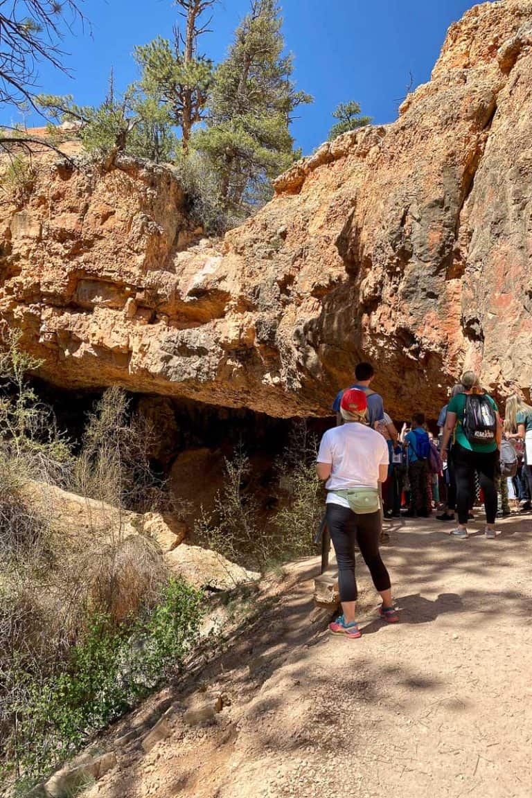 Mossy Cave (Bryce Canyon, UT) - Champagne Tastes®