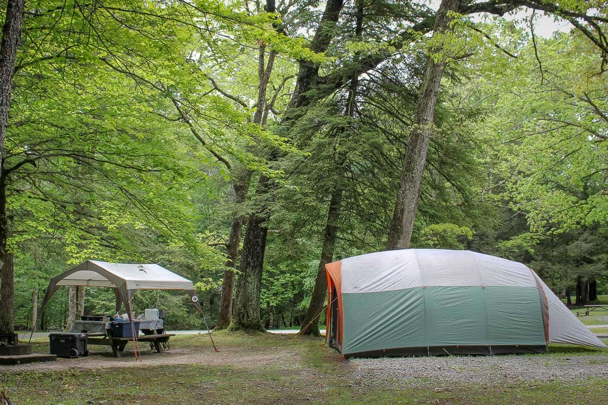 Babcock State Park (Clifftop, WV) - Champagne Tastes®
