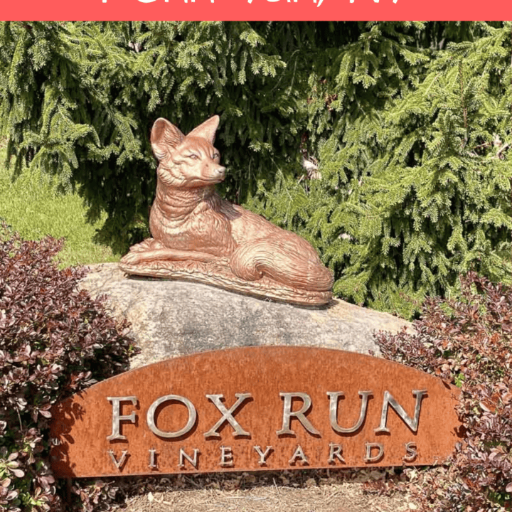 Fox Run Vineyards (Penn Yan, NY) - Champagne Tastes®