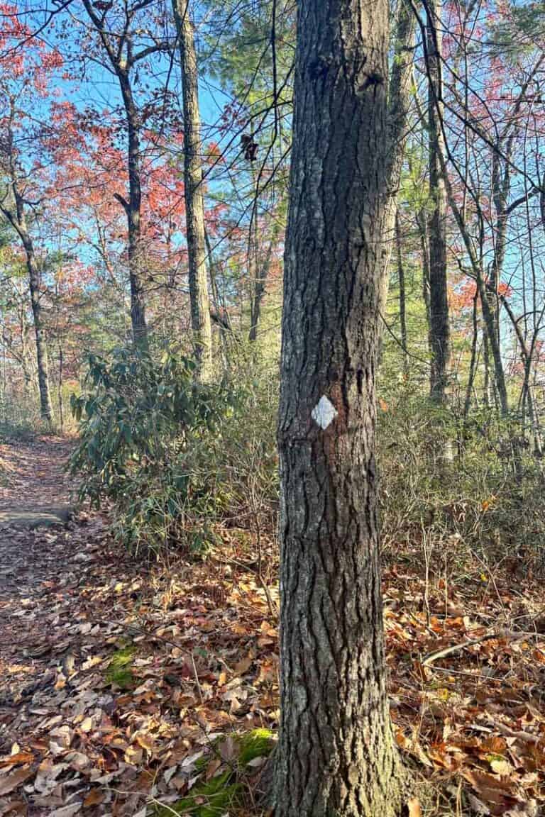 Auxier Ridge, Courthouse Rock + Double Arch Trail Loop - Champagne Tastes®