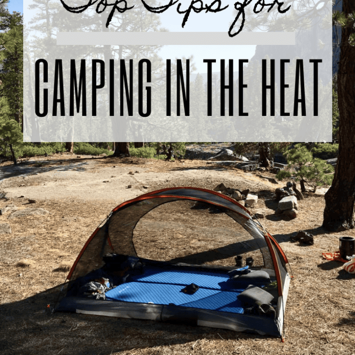 Camping In The Heat Champagne Tastes®