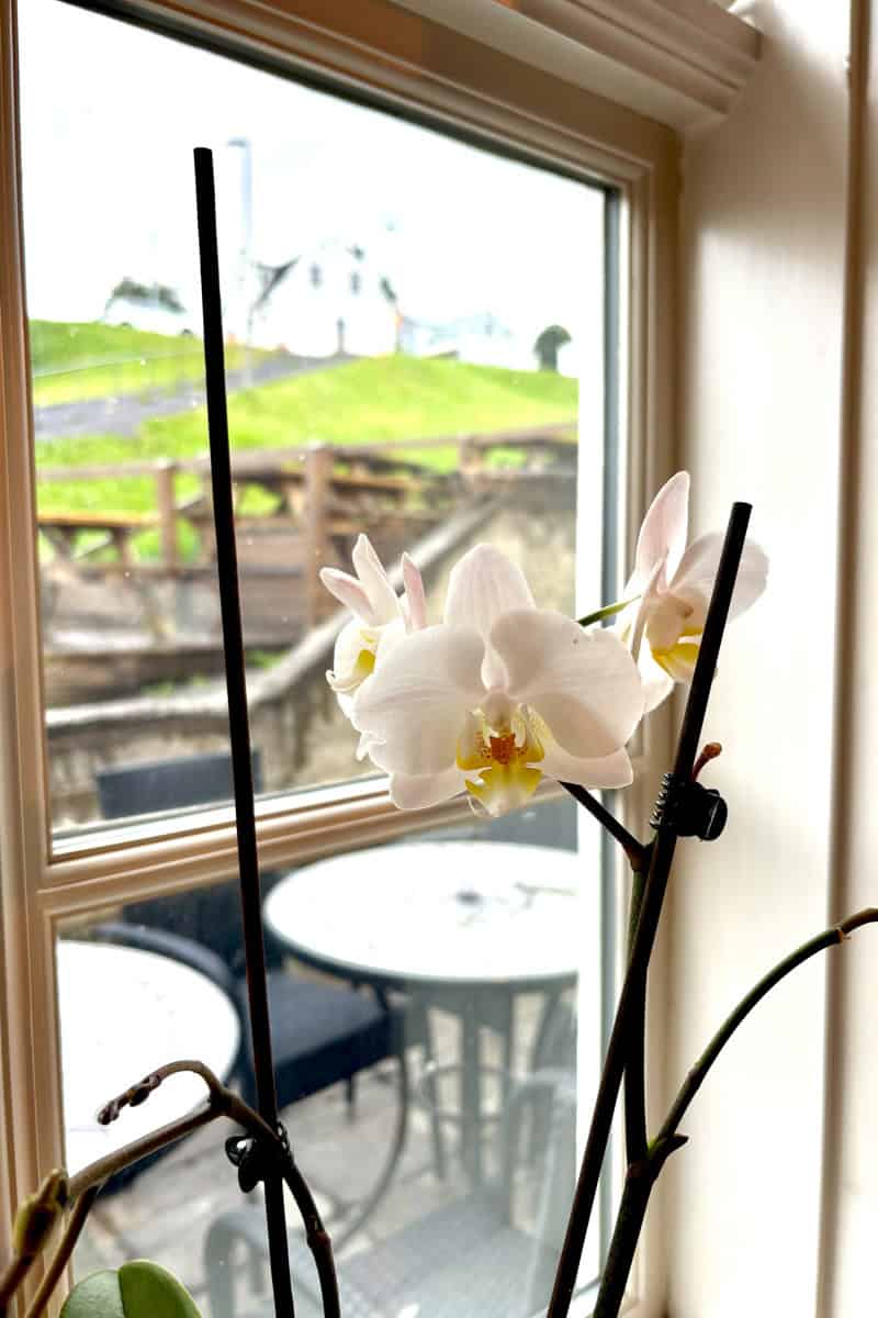Kaffi Ilmur (Akureyri, Iceland) - Champagne Tastes®