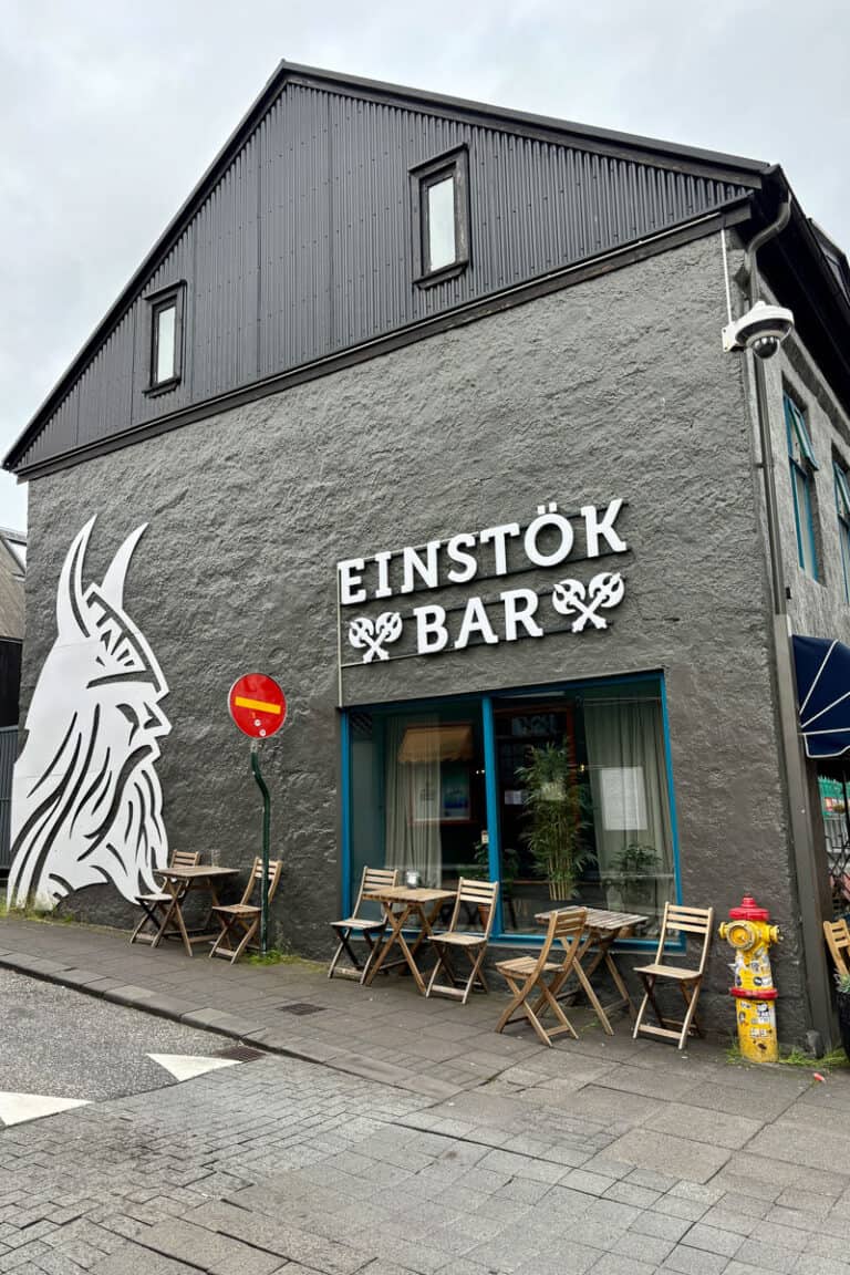 A Foodie Tour of Iceland - Champagne Tastes®