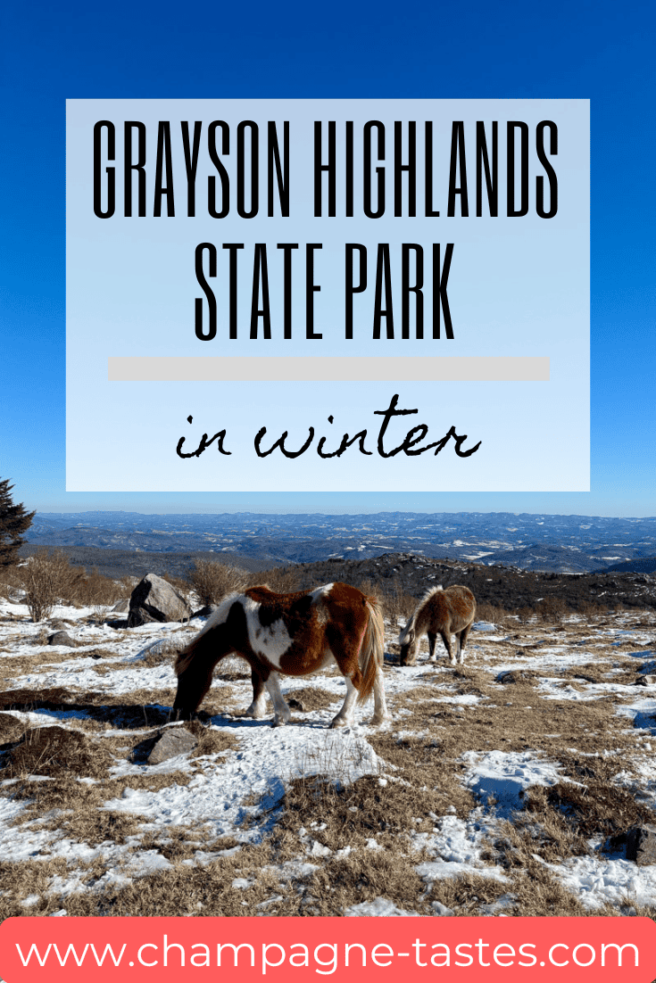 Grayson Highlands in Winter (Virginia) - Champagne Tastes®