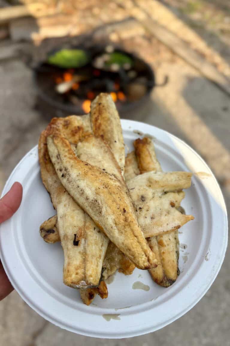 Campfire Pan-Seared Fish - Champagne Tastes®