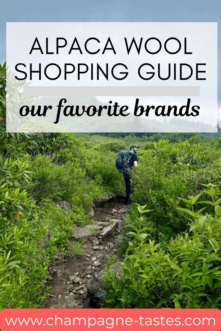 Alpaca Shopping Guide: Our Favorite Brands - Champagne Tastes®