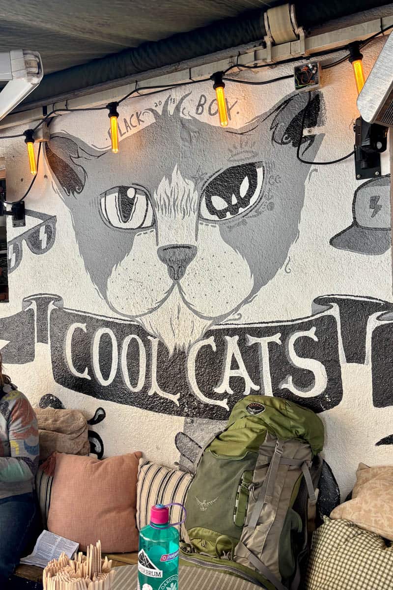 Cool Cats Hot Dogs (Chamonix, France) - Champagne Tastes®