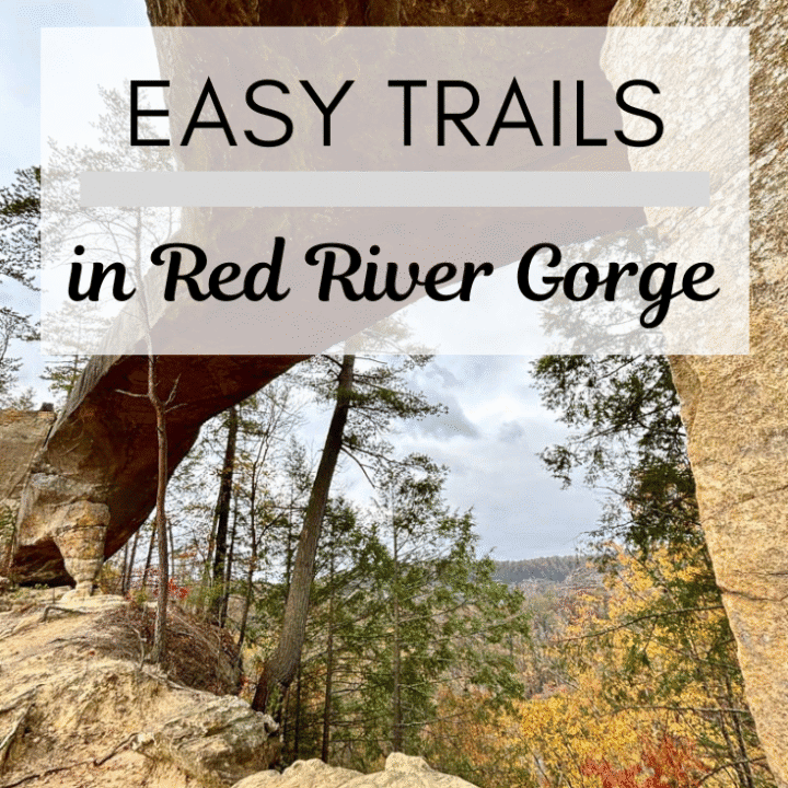 Easy Trails in Red River Gorge - Champagne Tastes®