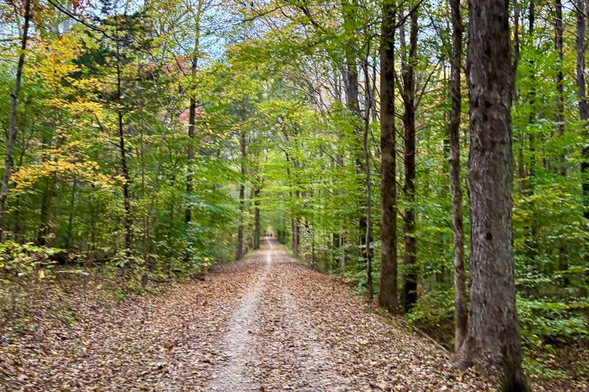Mammoth Cave Race Report: 50K/25K - Champagne Tastes®